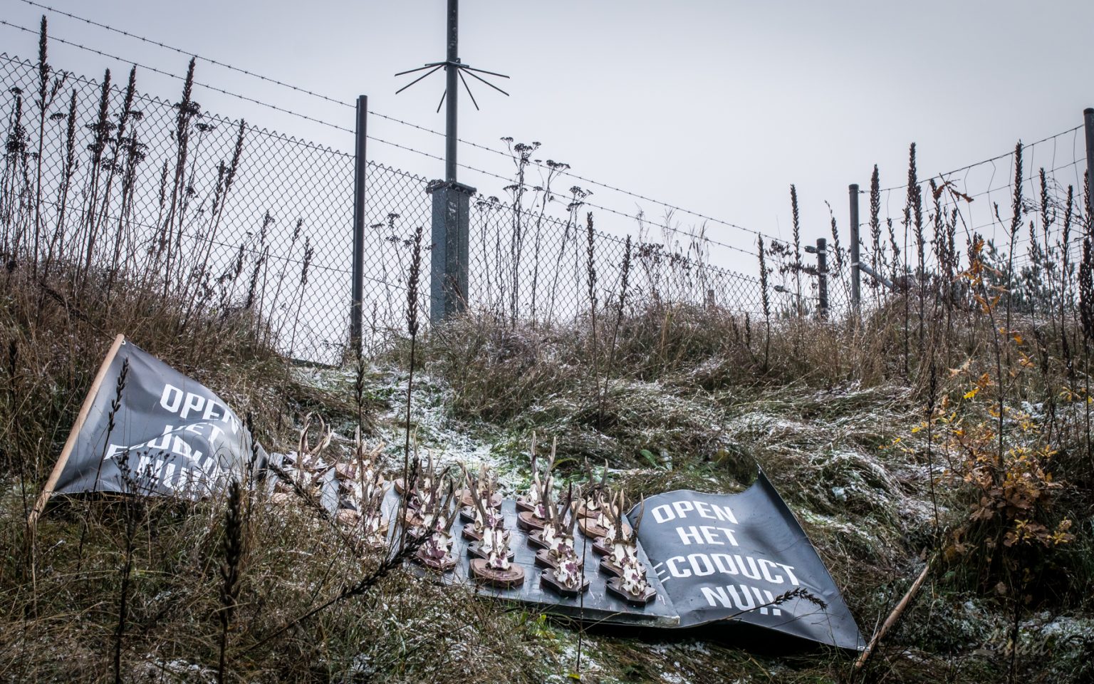 Faunabescherming en Animal Rights eisen dat illegale afzetting ...